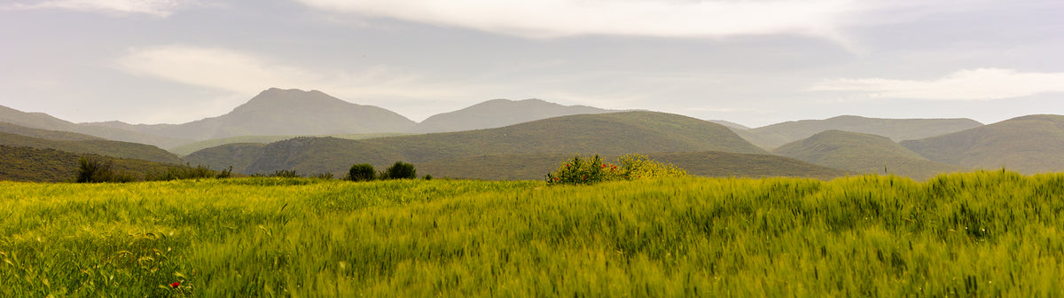 Mount Othrys | Klio Tea