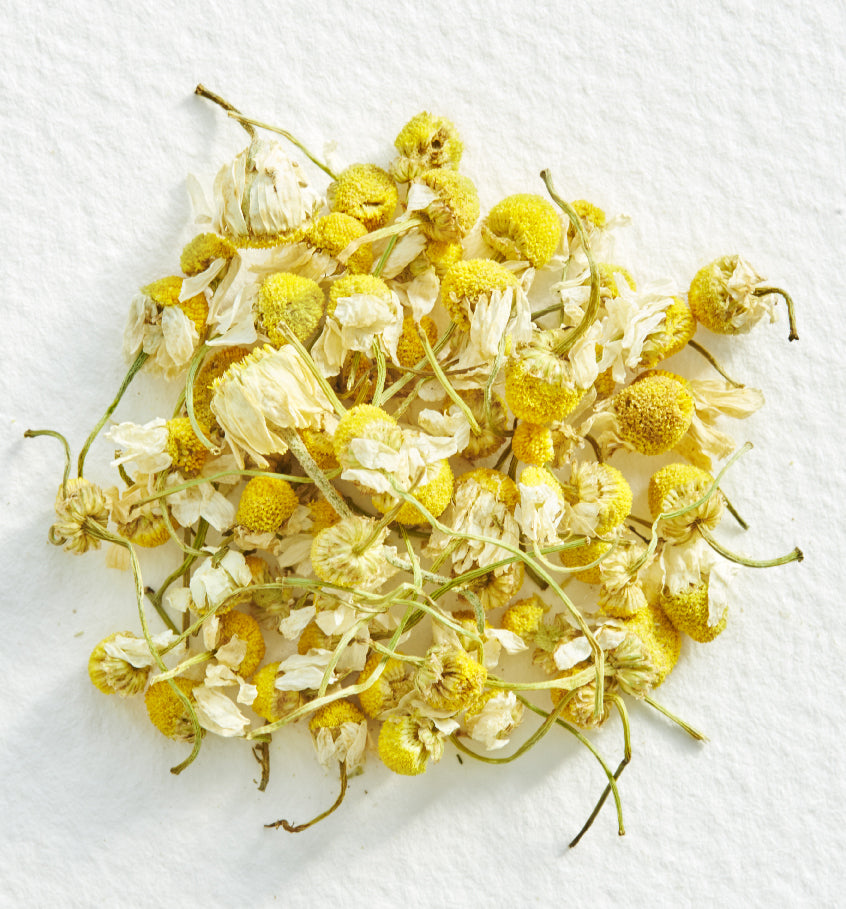 Organic Greek Chamomile Tea - Mount Othrys | Klio Tea